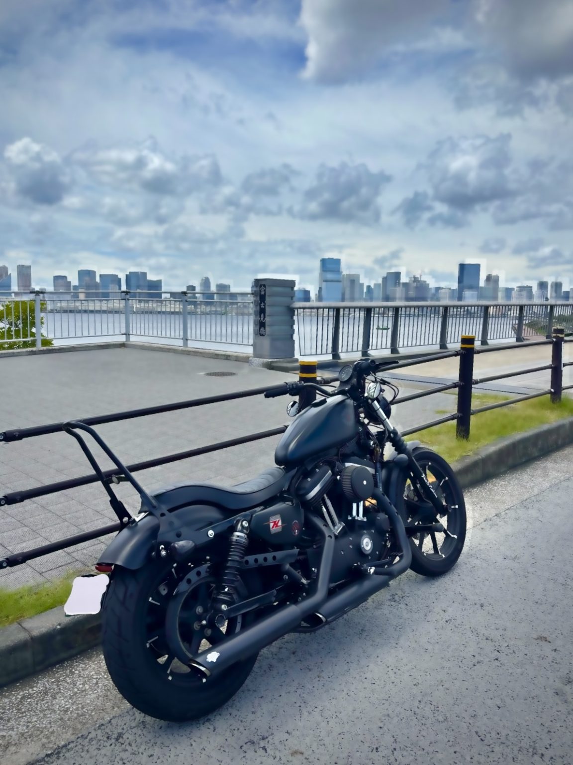 XL883N - ハーレーカスタムガイド